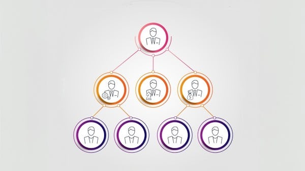 Regels voor het organogram: hoe en waar moet de or worden vermeld?